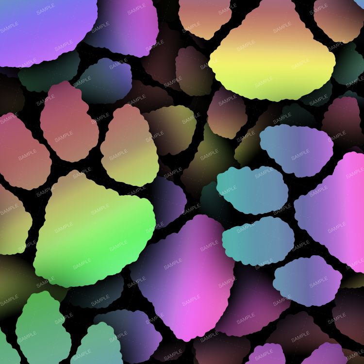 Color Paws 22 – Pattern Crew