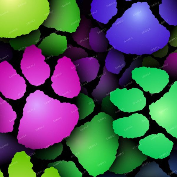 Color Paws 23 – Pattern Crew