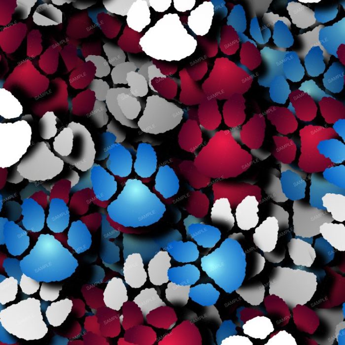 Color Paws 24 – Pattern Crew