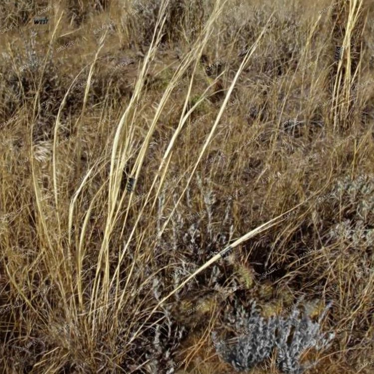 Backland West Camouflage – Pattern Crew