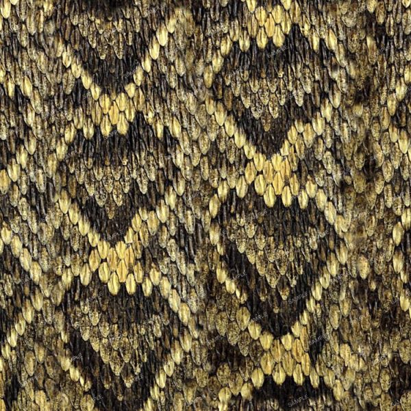 Western Diamondback Rattler Scales – Pattern Crew