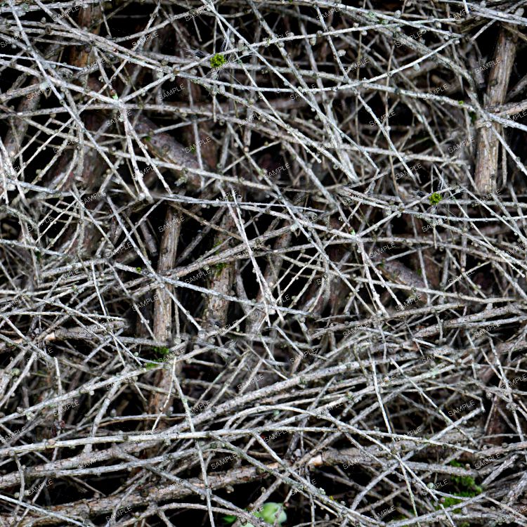 Twigs – Pattern Crew