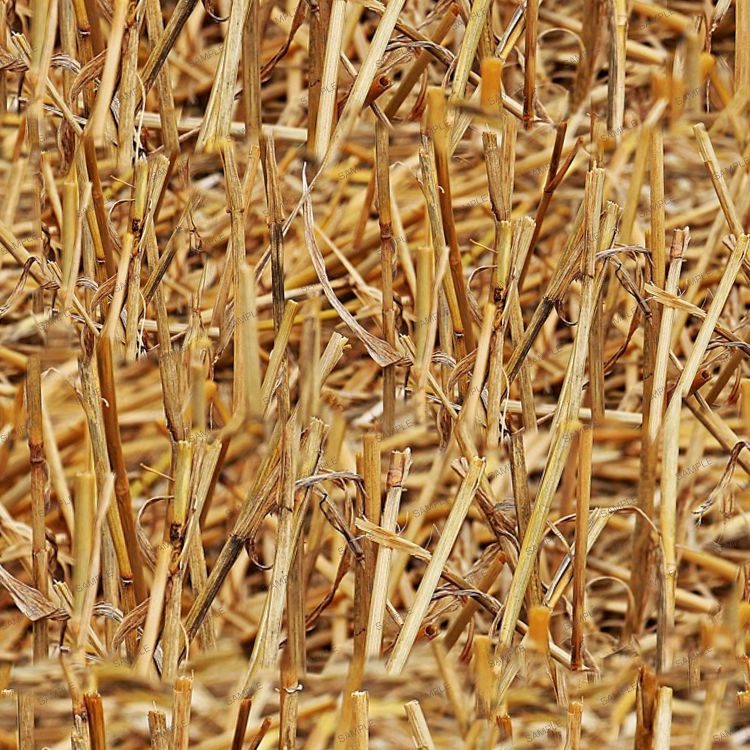 Cut Straw – Pattern Crew