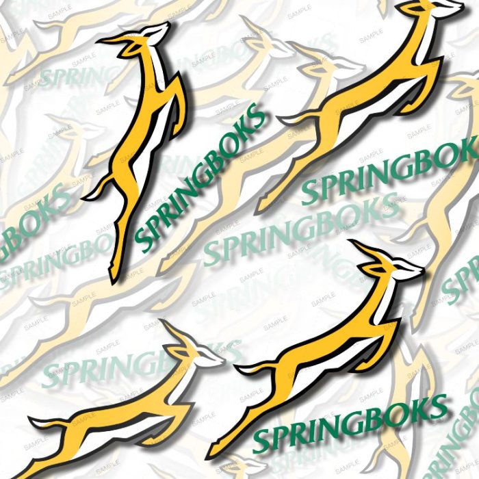 Springboks Rugby 23 – Pattern Crew
