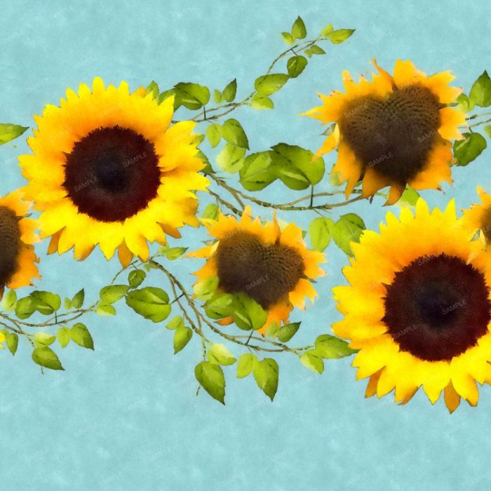 Watercolor Sunflower Border – Pattern Crew