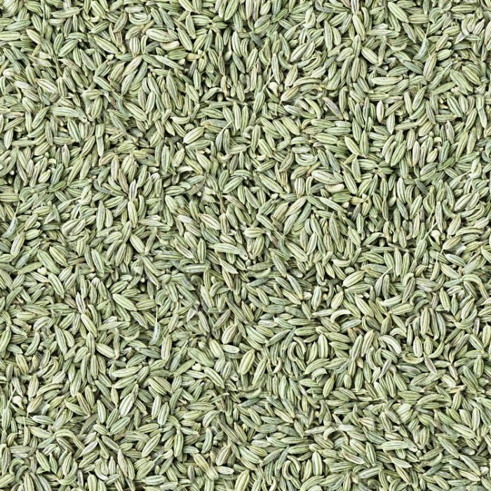 Fennel Seeds – Pattern Crew