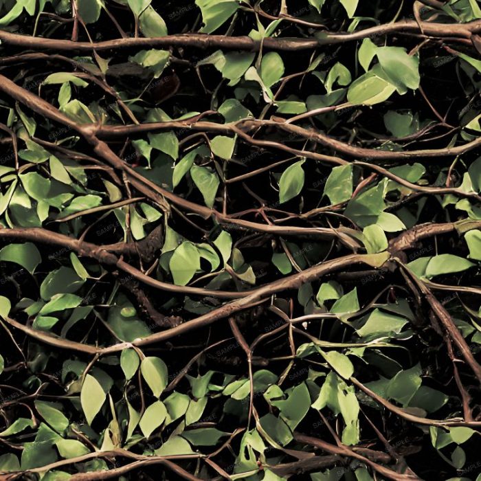 Tangled Vines Camouflage – Pattern Crew