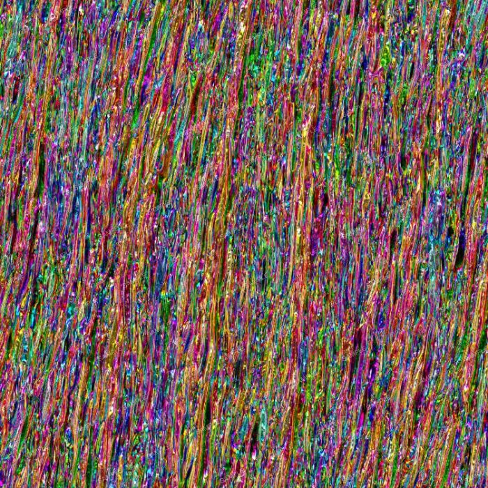 Electrostatic Rainbow 26 – Pattern Crew