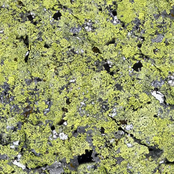Camouflage – Page 3 – Pattern Crew