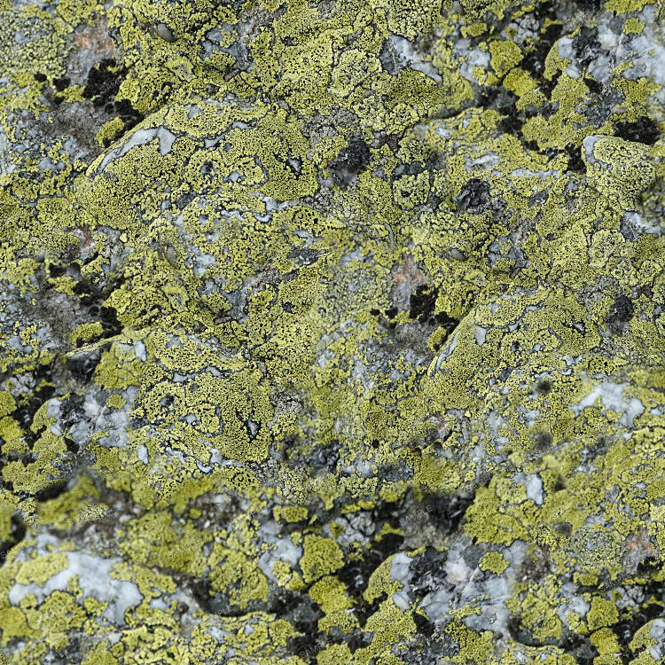 Mossy Stone Camouflage 23 – Pattern Crew