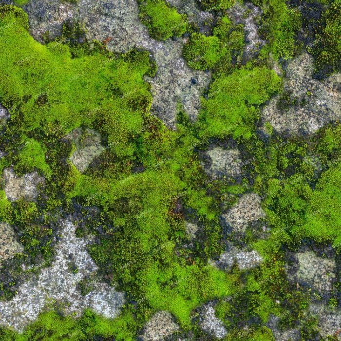 Mossy Stone Camouflage 24 – Pattern Crew