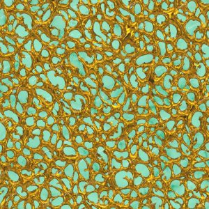 Golden Matrix on Jade – Pattern Crew