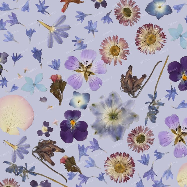 Pressed Flowers 24 – Pattern Crew