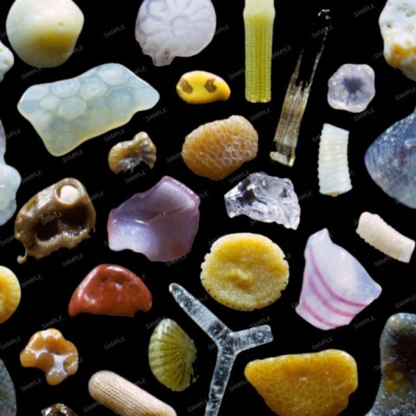 Microscopic Sand 23 – Pattern Crew