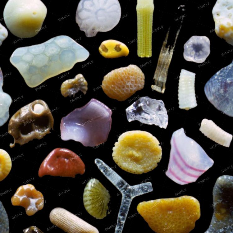 Microscopic Sand 23 – Pattern Crew