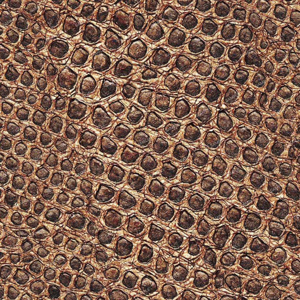Brown Crocodile Skin 24 – Pattern Crew