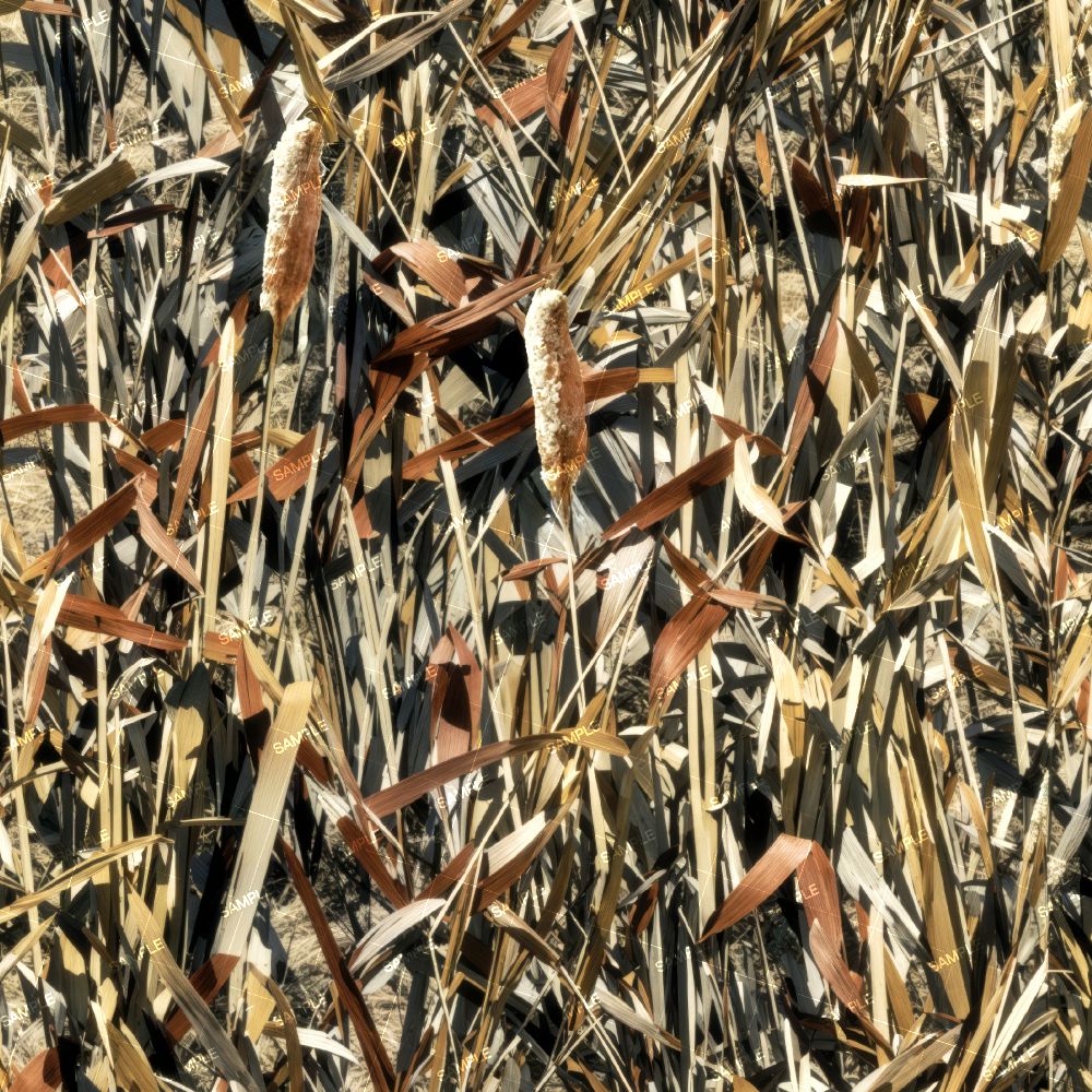 True Timber Flooded – Pattern Crew