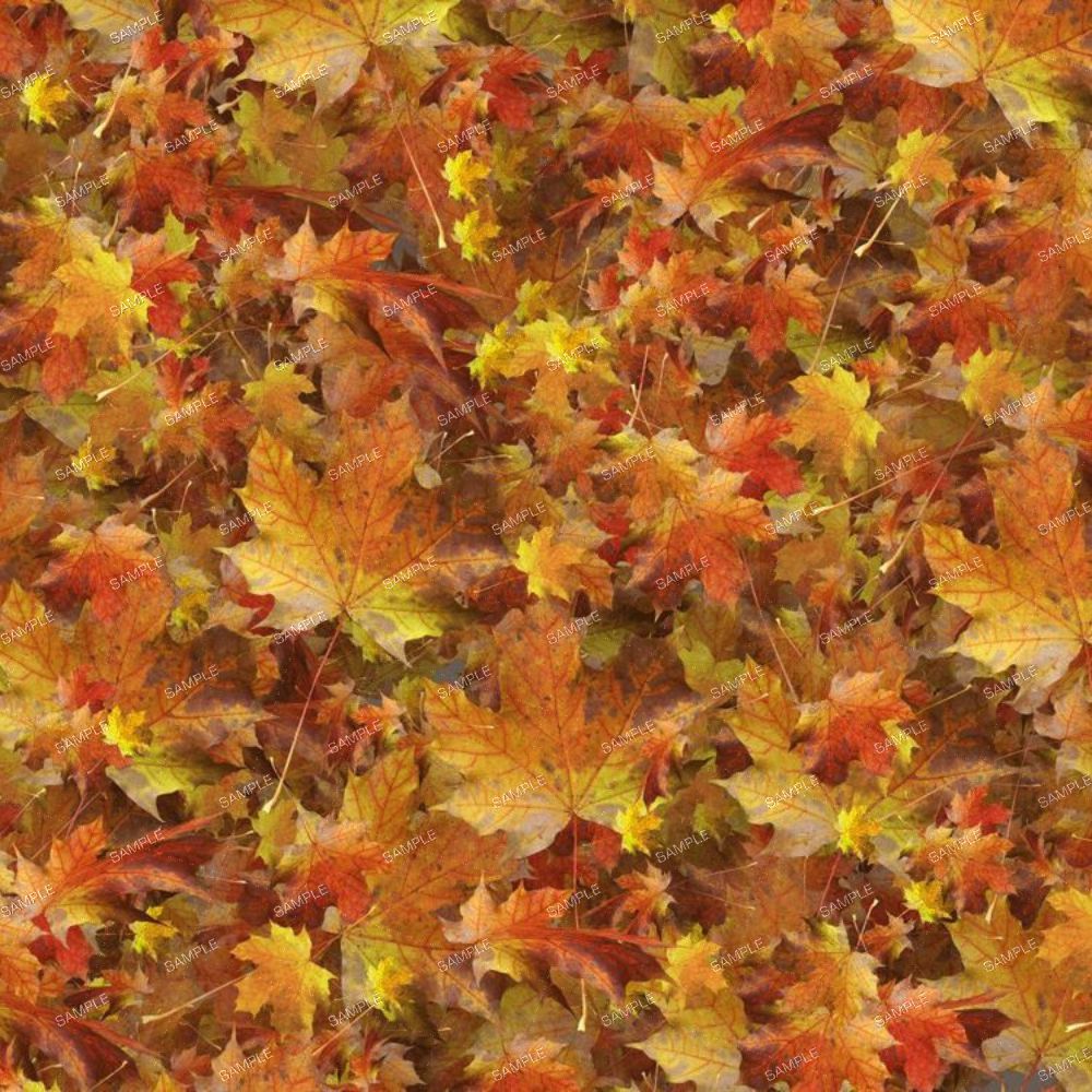 Autumn Blaze 23 Camouflage – Pattern Crew