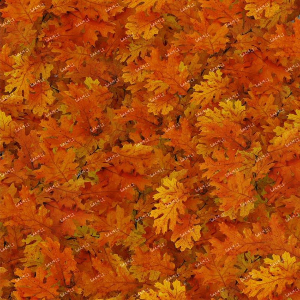 Autumn Blaze 24 Camouflage – Pattern Crew