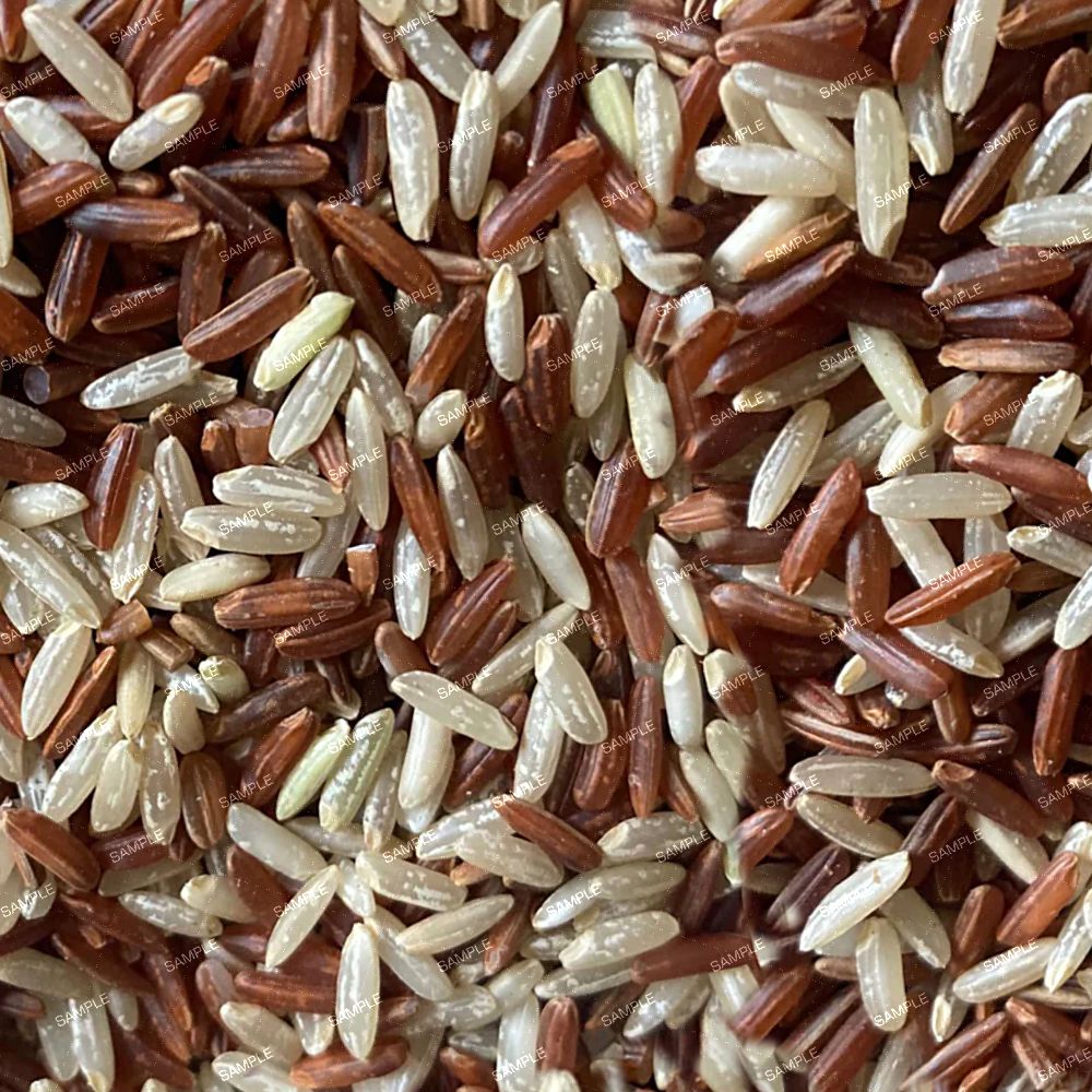 Wild Rice – Pattern Crew