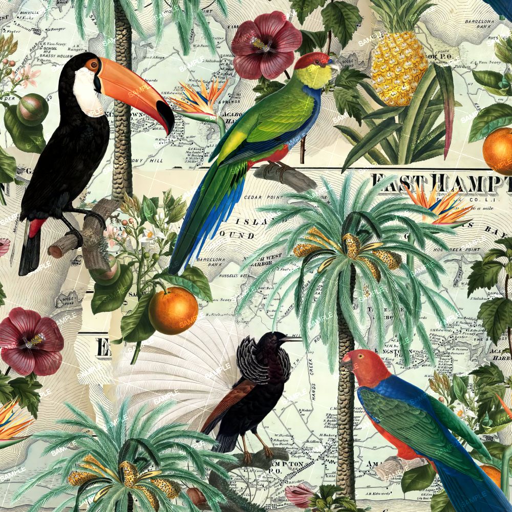 Tropical BIrd Map 42 – Pattern Crew