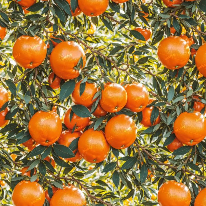 Orange Tree – Pattern Crew