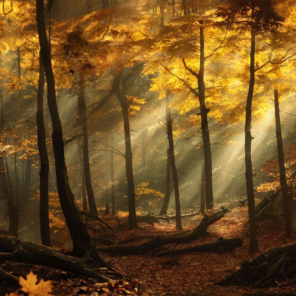 Spooky Autumn Forest – Pattern Crew