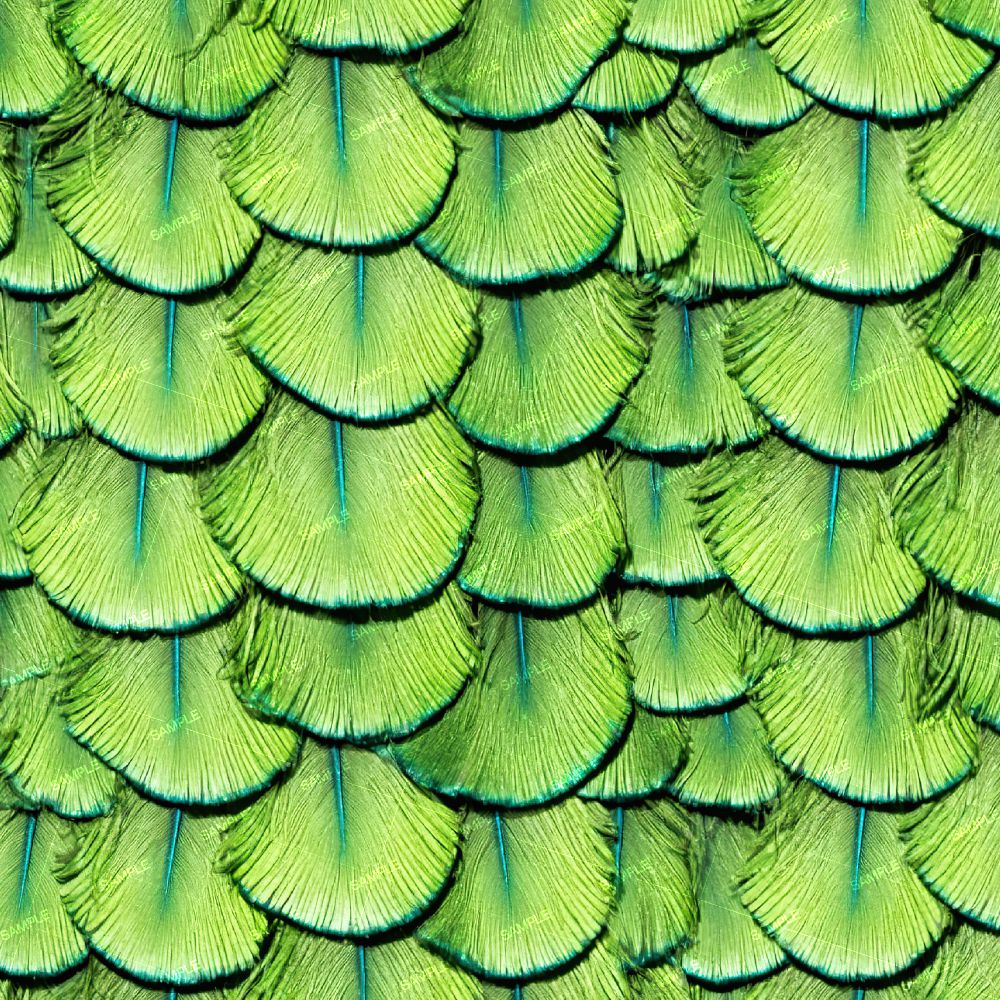 Peacock Back Feathers – Pattern Crew
