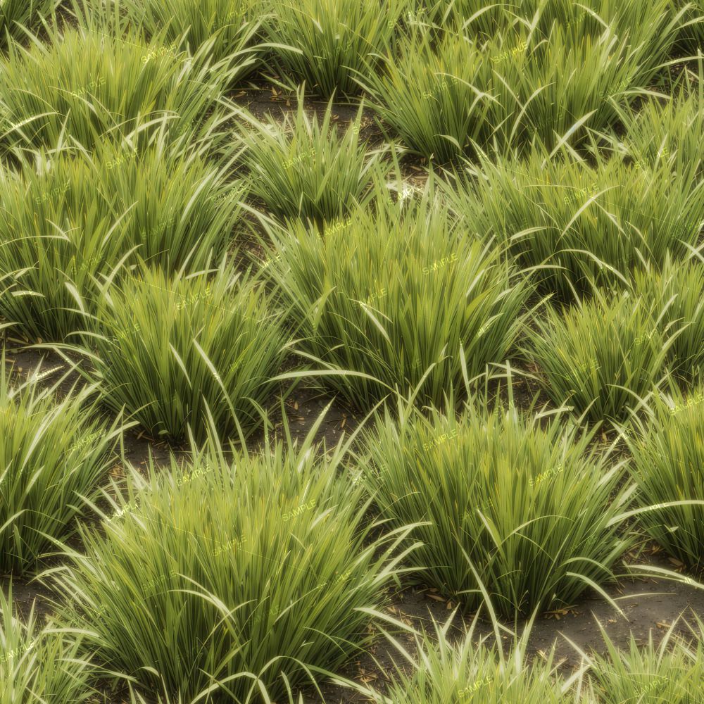 Tufts of Grass – Pattern Crew