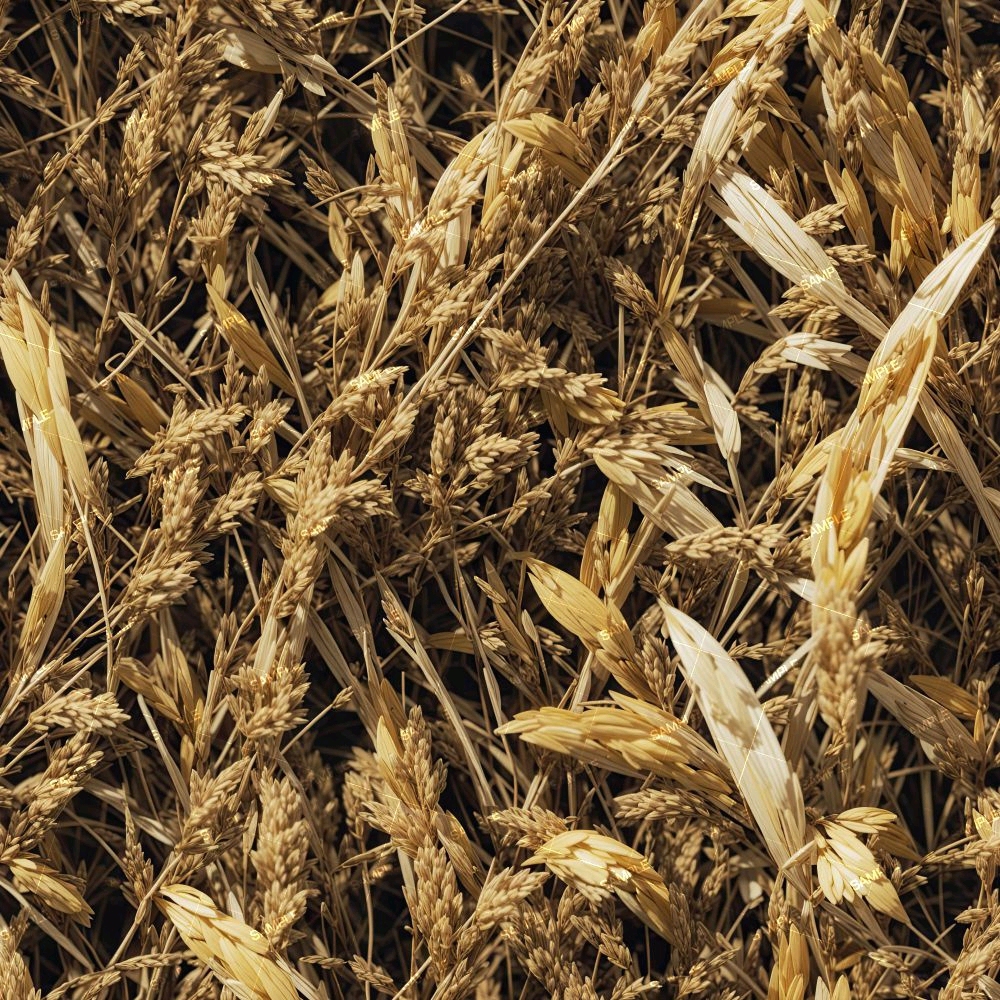 Wheatfield Camouflage – Pattern Crew