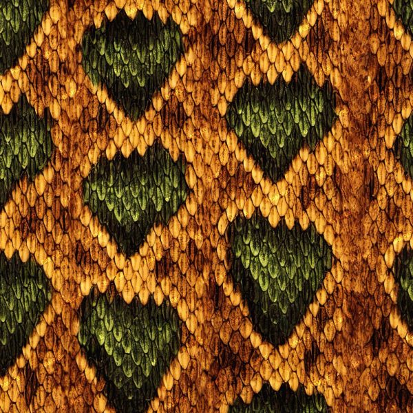 Diamondback Rattlesnake Orange Green – Pattern Crew
