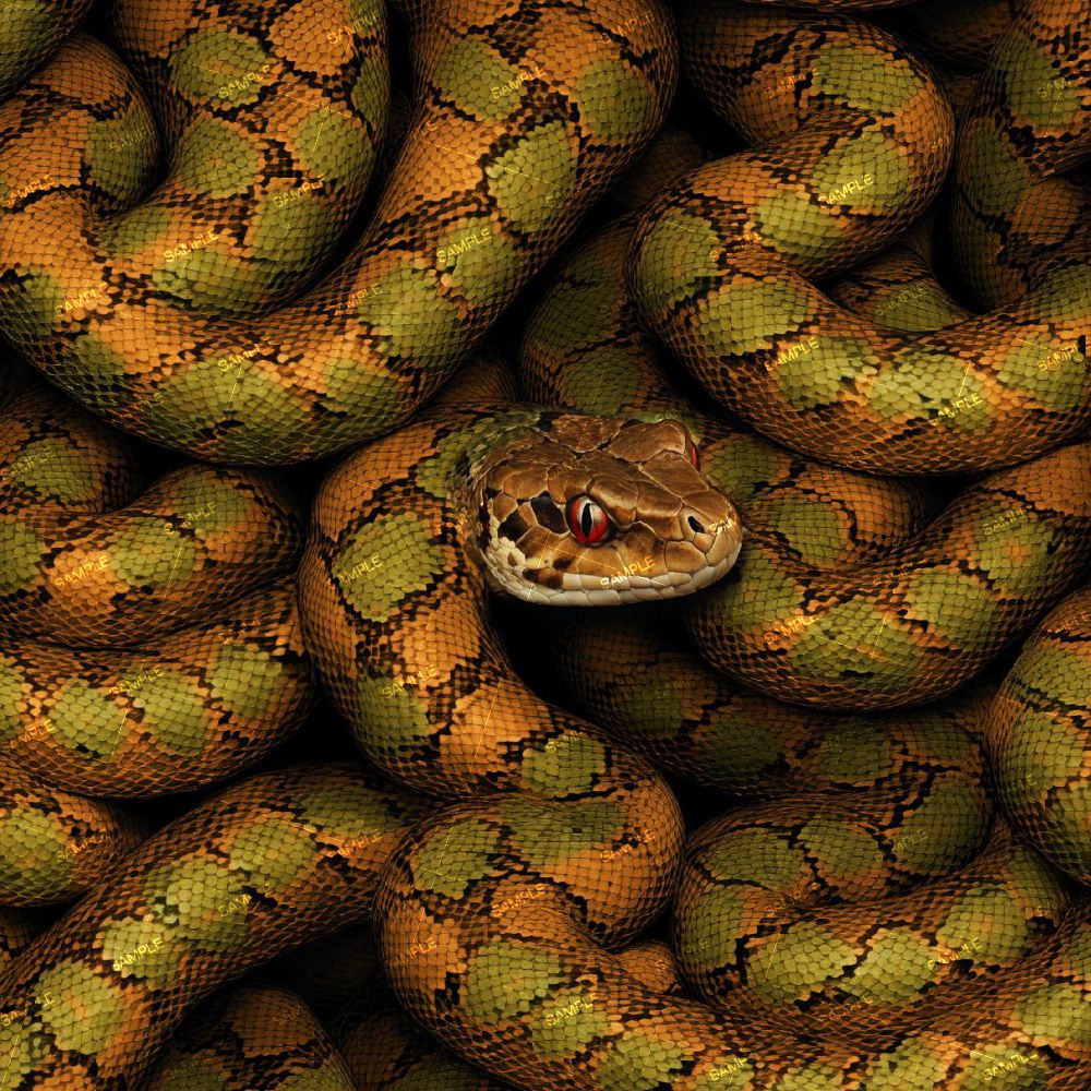 Orange and Green Snake 43 – Pattern Crew