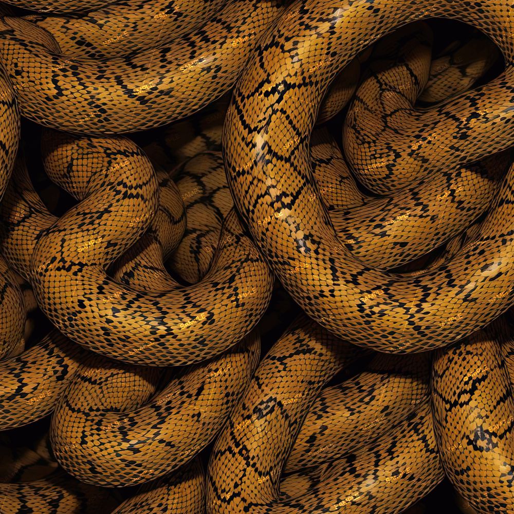 Orange Snake – Pattern Crew