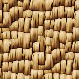 Woven Rattan Screen – Pattern Crew