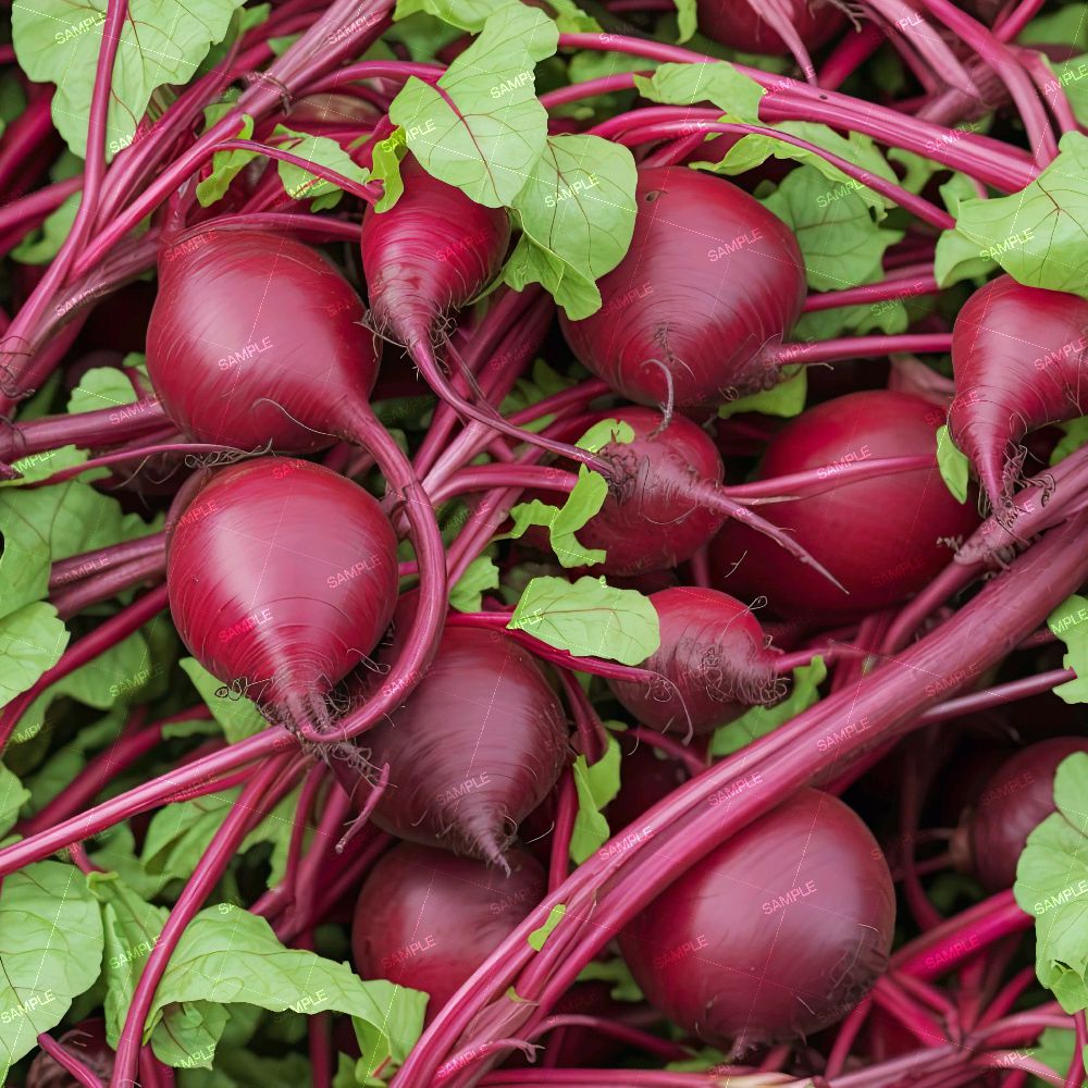 Fresh Beets – Pattern Crew