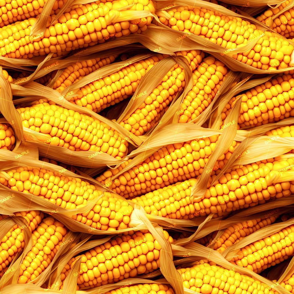 Corn 48 – Pattern Crew