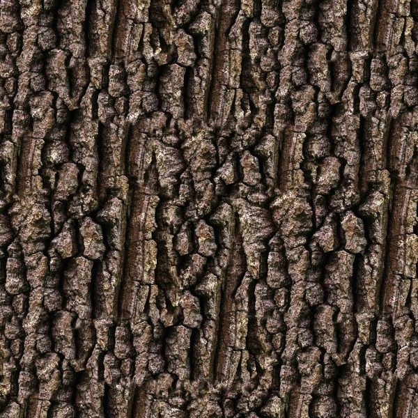 Wild Cherry Tree Bark – Pattern Crew