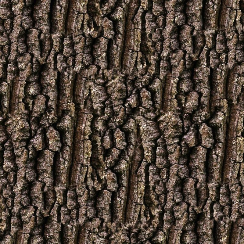 Wild Cherry Tree Bark – Pattern Crew