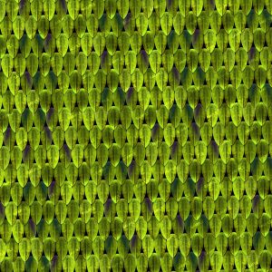 Green Snake Scales – Pattern Crew