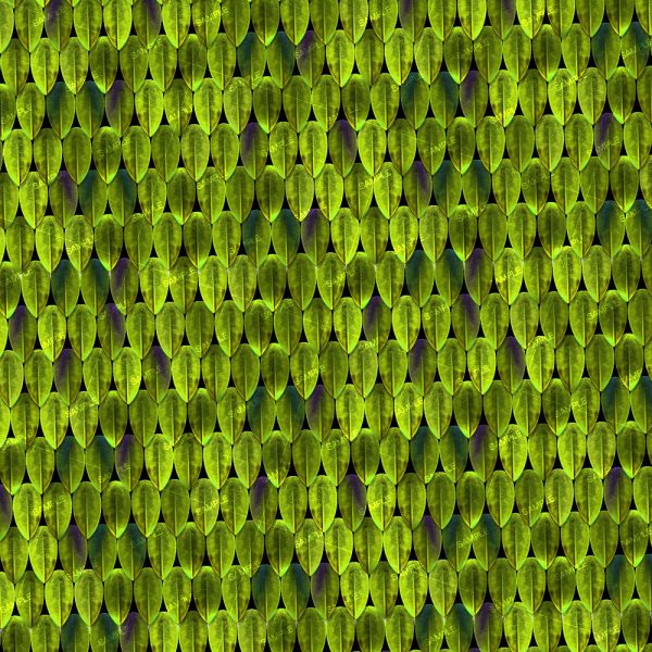 Green Snake Scales – Pattern Crew