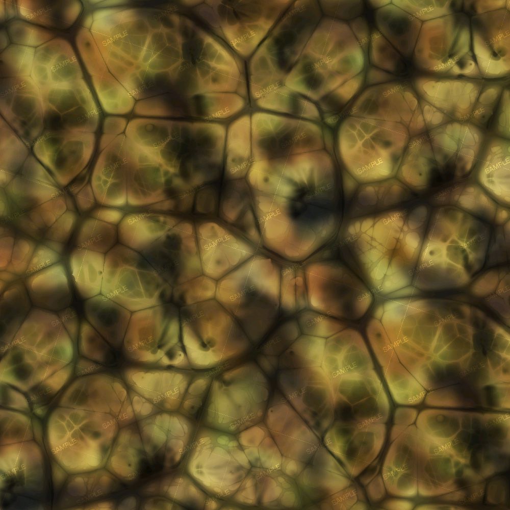 Tactical Camouflage 224 – Pattern Crew