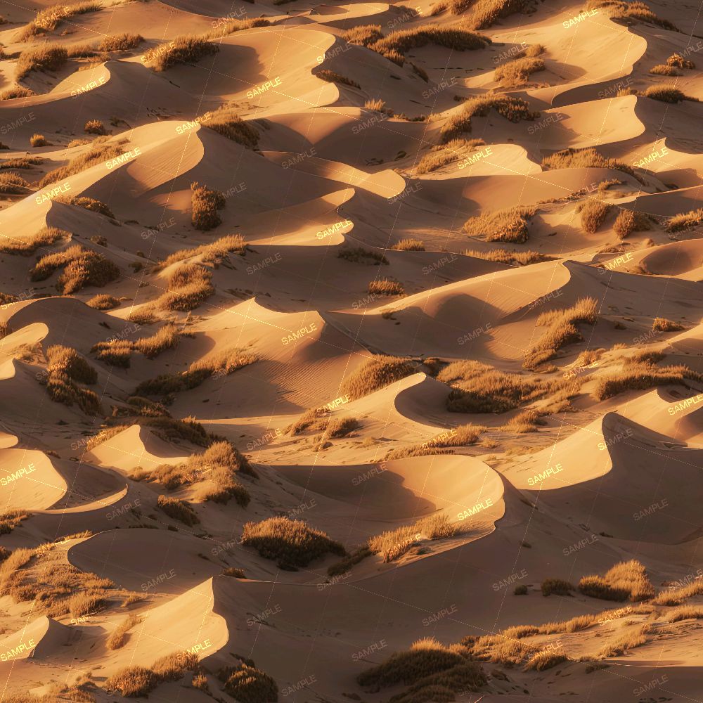 Beach Dunes at Sunset – Pattern Crew