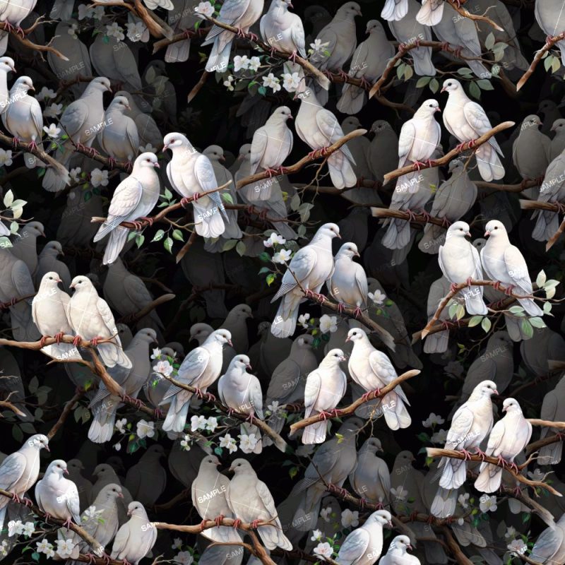 Birds – Pattern Crew