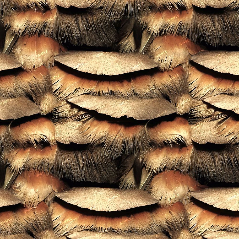 Turkey Feathers 43 – Pattern Crew