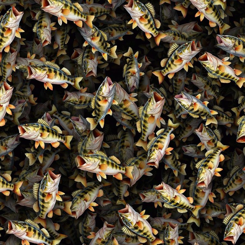 Striper Bass 25 – Pattern Crew