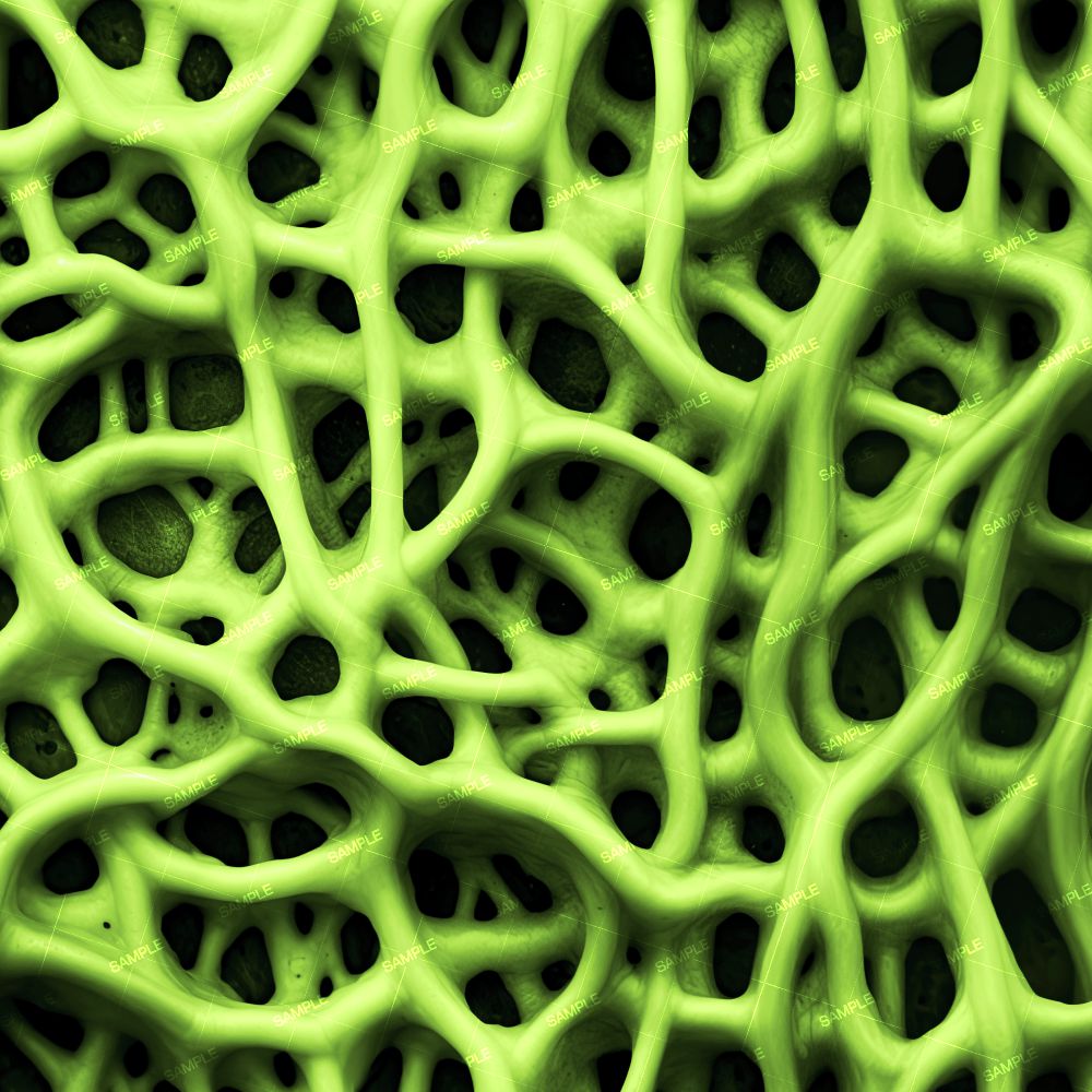 Alien Organism 33 – Pattern Crew