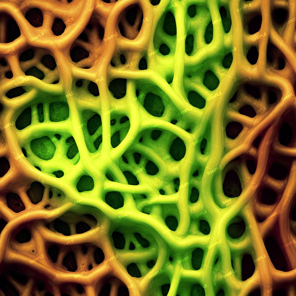 Alien Organism 34 – Pattern Crew