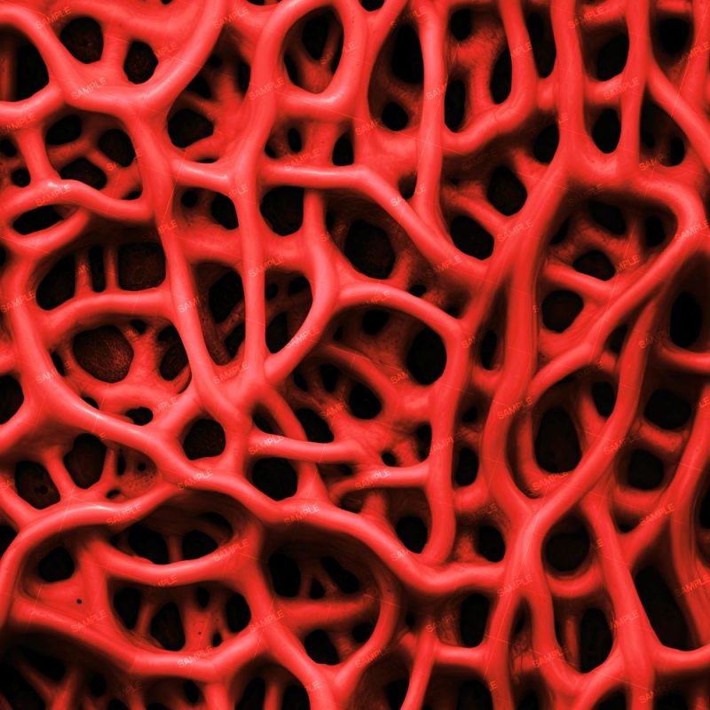 Alien Organism 35 – Pattern Crew