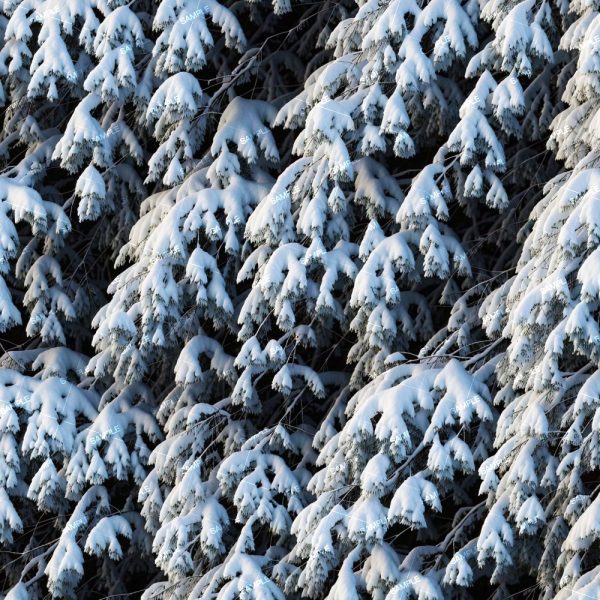 Tactical Snow Camouflage 279 – Pattern Crew