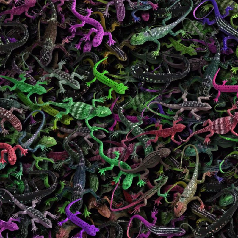 Toy Lizards – Pattern Crew